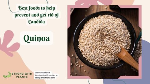 Get Rid of Candida Naturally | 57 Best Foods & What to Avoid