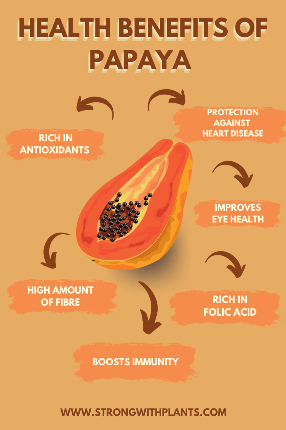 Papaya Fruit - An Exotic Fruit You Must Try and 6 Benefits
