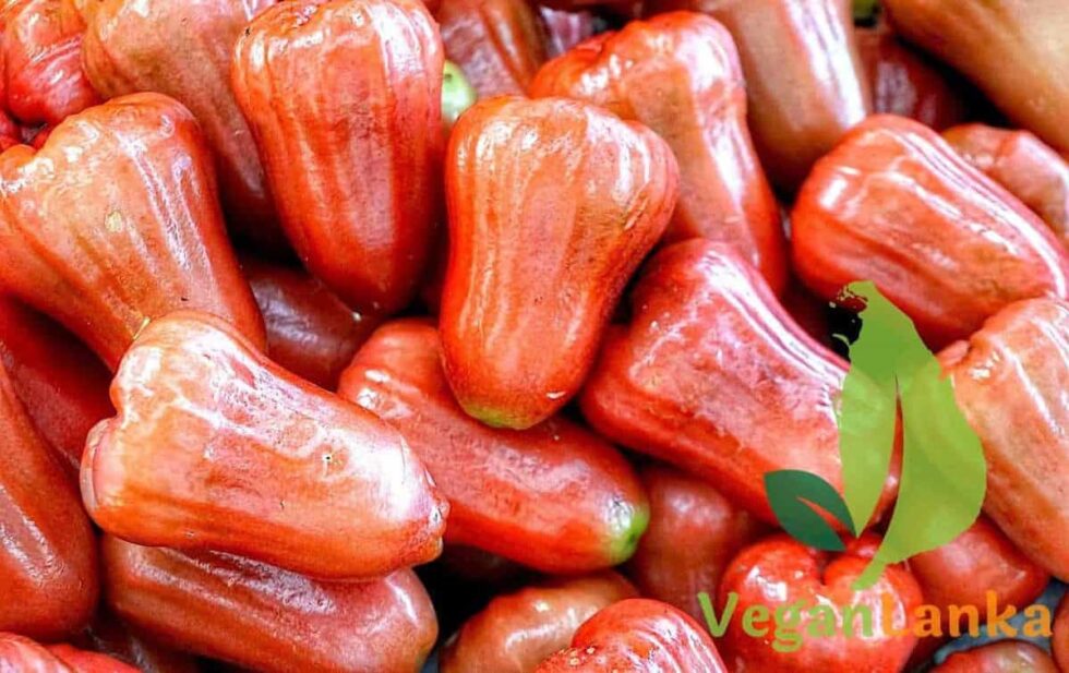 Rose Apples - Jambu (Water Apple / Bell Fruit) Sri Lankan Fruits ...
